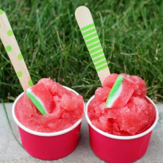 3 Ingredient Watermelon Ice - Laura Kelly's Inklings
