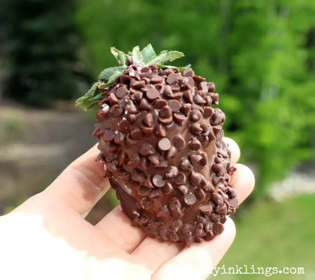 R.A.B. as in Random Act of Berries from Shari's Berries - Laura Kelly's ...