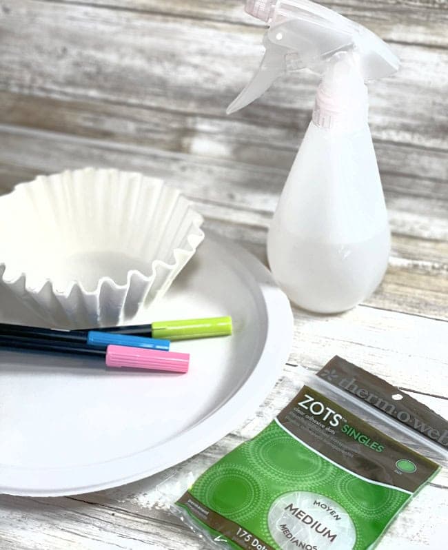 Coffee Filter Earth Day Craft With Printable Pledge - Laura Kelly's ...