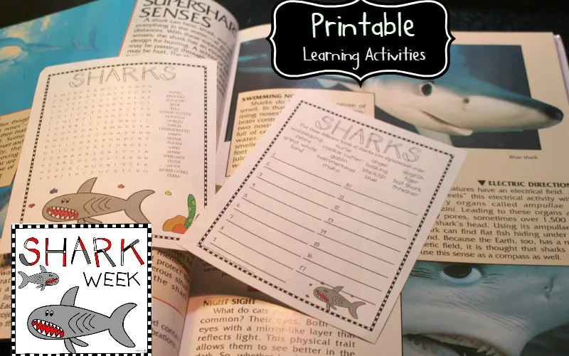 Shark Week Activities for Learning - Laura Kelly's Inklings