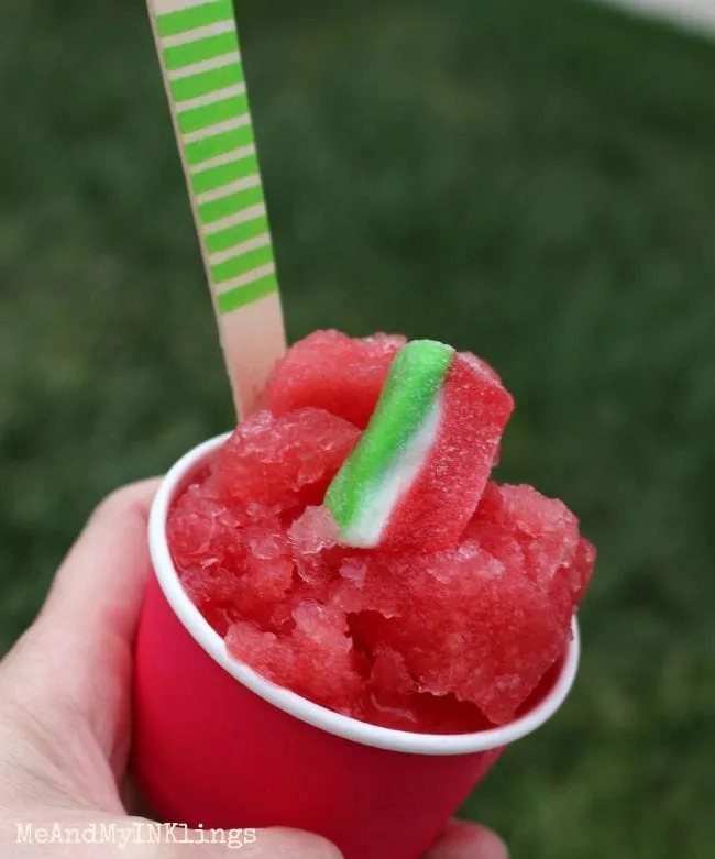 3 Ingredient Watermelon Ice - Laura Kelly's Inklings
