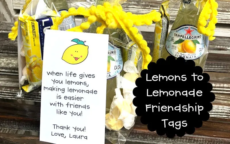 Lemonade Gift Tag Printable for Friends and Goody Bags