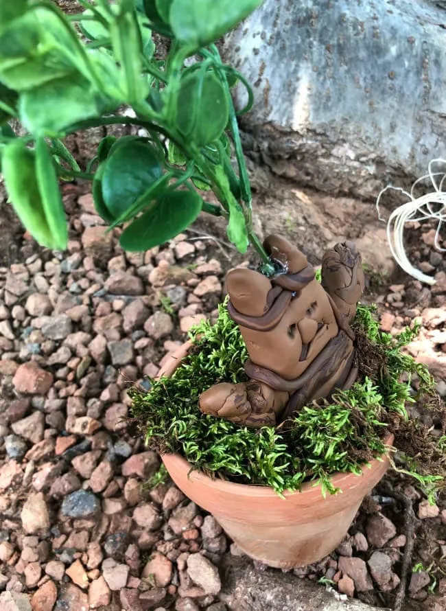 How to Make a Mandrake at Home with A Few Supplies