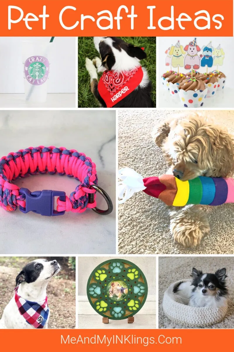 How to Make a Water Bottle Dog Toy Handmade Pet Gift