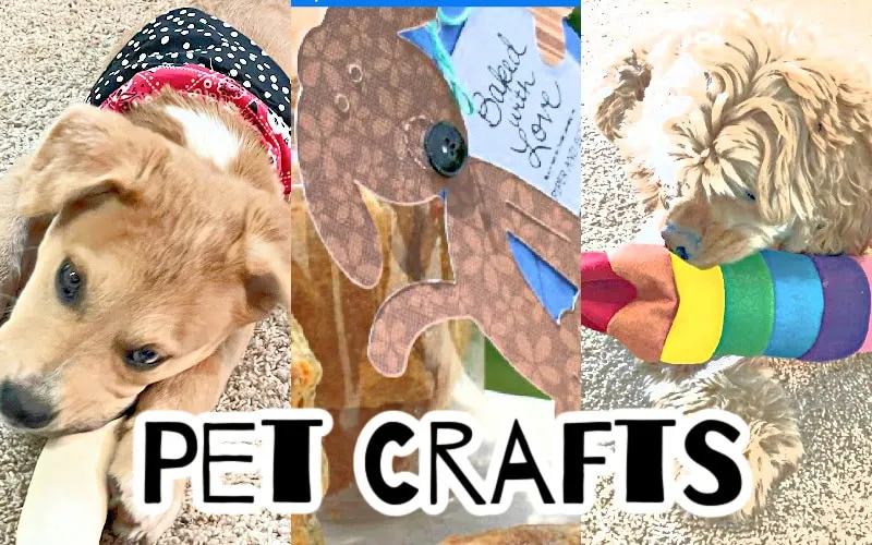 Best Pet Crafts and DIY Ideas - Laura Kelly's Inklings