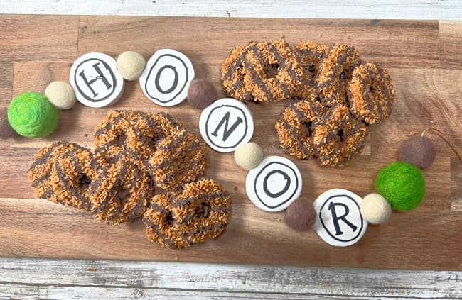 DIY Taylor Swift Inspired Girl Scout Craft - Laura Kelly's Inklings